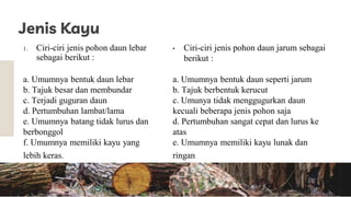 2. Mutu dan Jenis Kayu.pdf