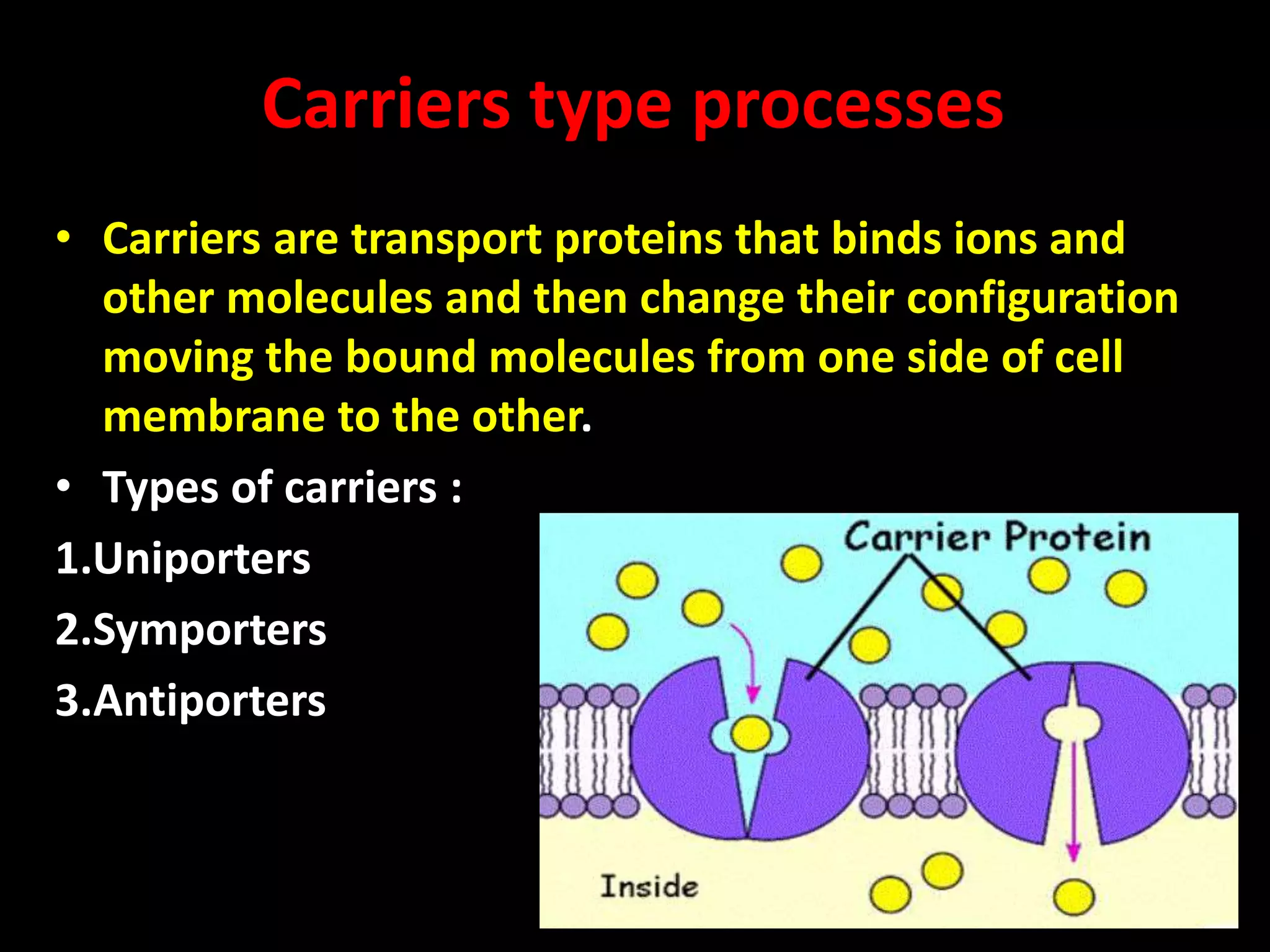 2.5 Co-Transport (1).pptx