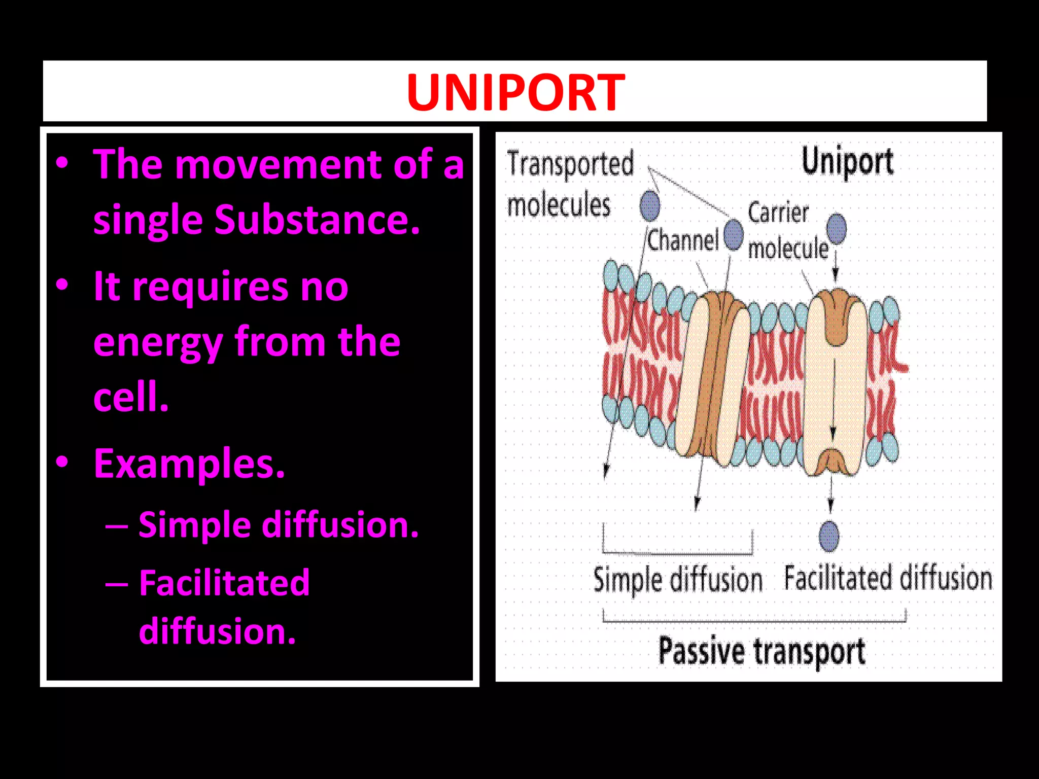 2.5 Co-Transport (1).pptx | Chemistry | Science
