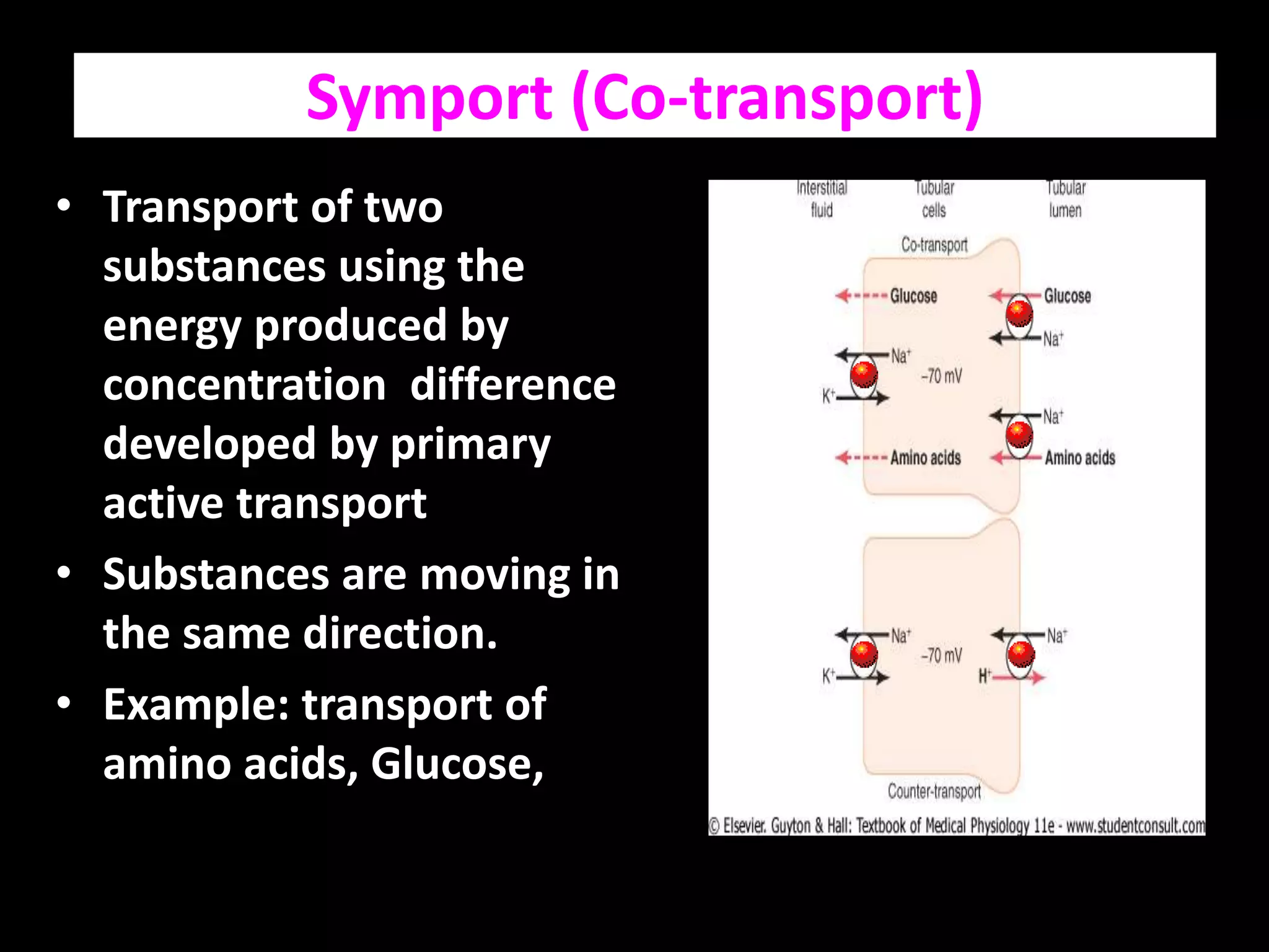 2.5 Co-Transport (1).pptx