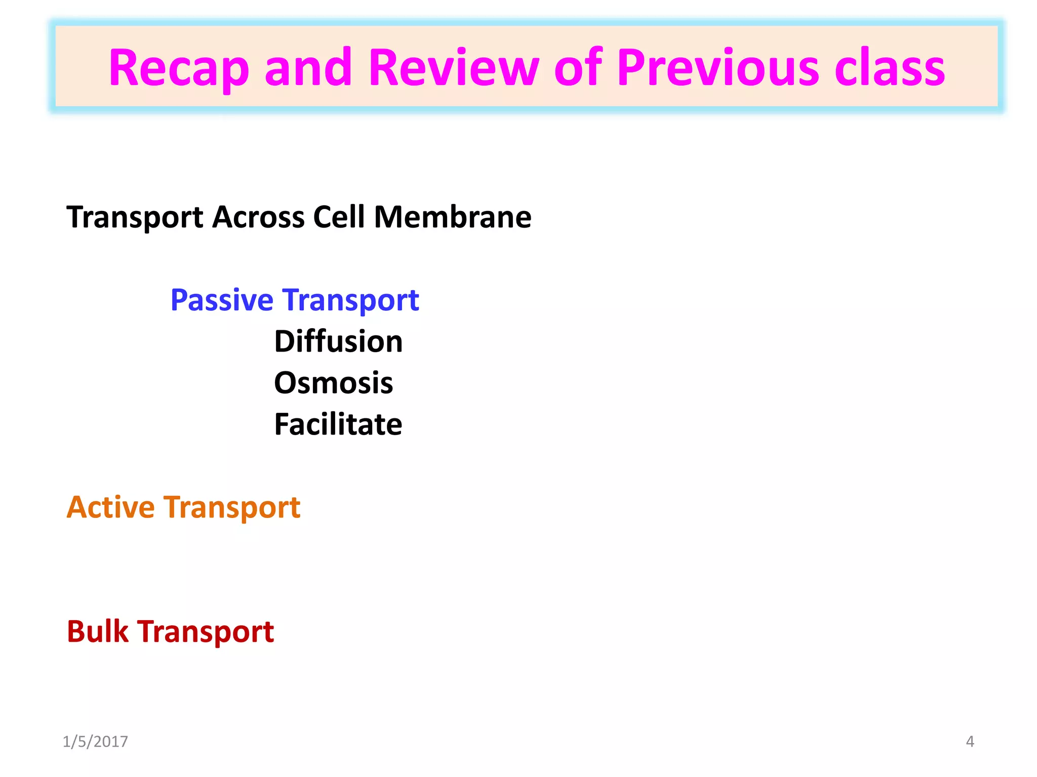 2.5 Co-Transport (1).pptx