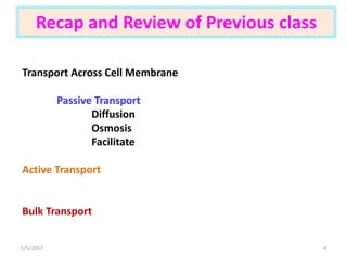 2.5 Co-Transport (1).pptx