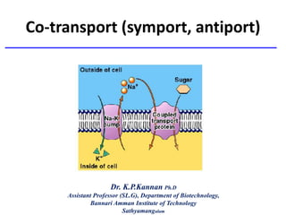 2.5 Co-Transport (1).pptx