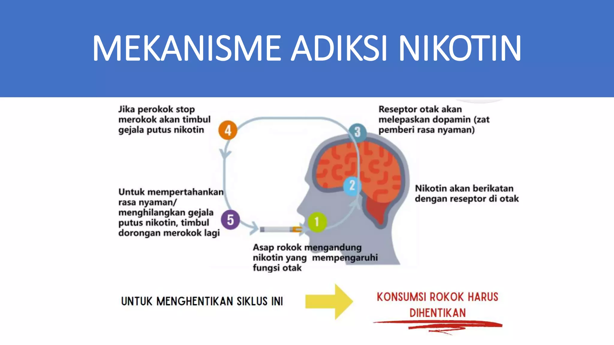 2. SBB_Sosialisasi Skrining Merokok Anak Sekolah.pptx (1).pptx