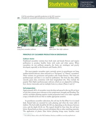 2. Cucumber.pdf