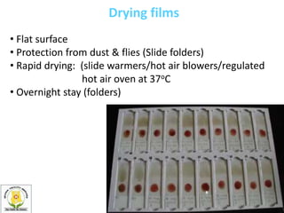 2. Preparation and staining of thick and thin blood films.ppt