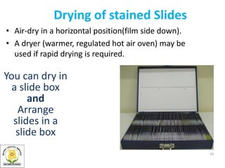 2. Preparation and staining of thick and thin blood films.ppt