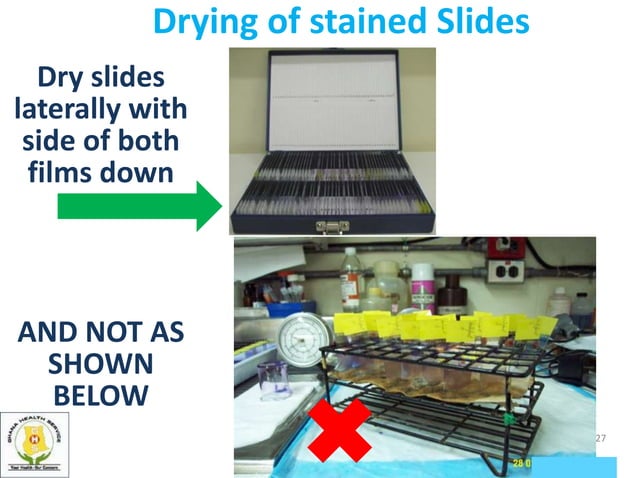 2. Preparation and staining of thick and thin blood films.ppt