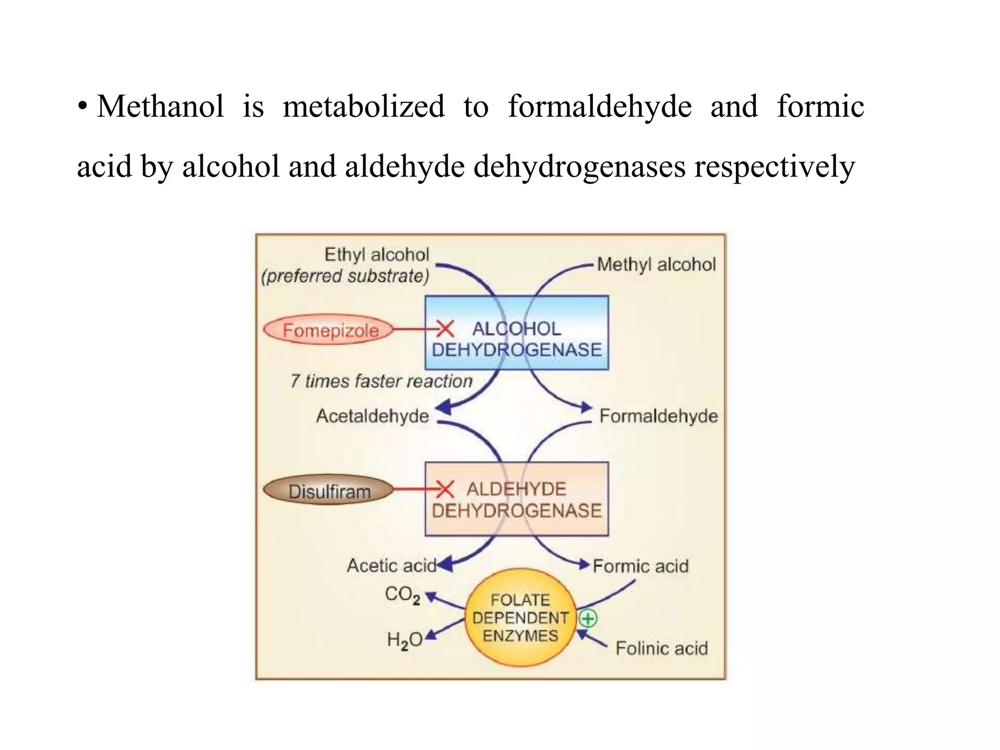 2. Ethyl & Methyl alcohol.pptx