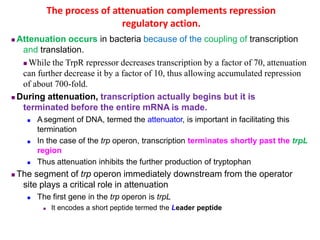 2. Tryptophan operon.ppt