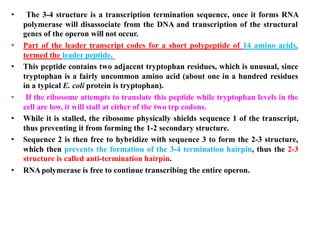 2. Tryptophan operon.ppt