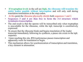 2. Tryptophan operon.ppt