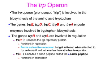 2. Tryptophan operon.ppt