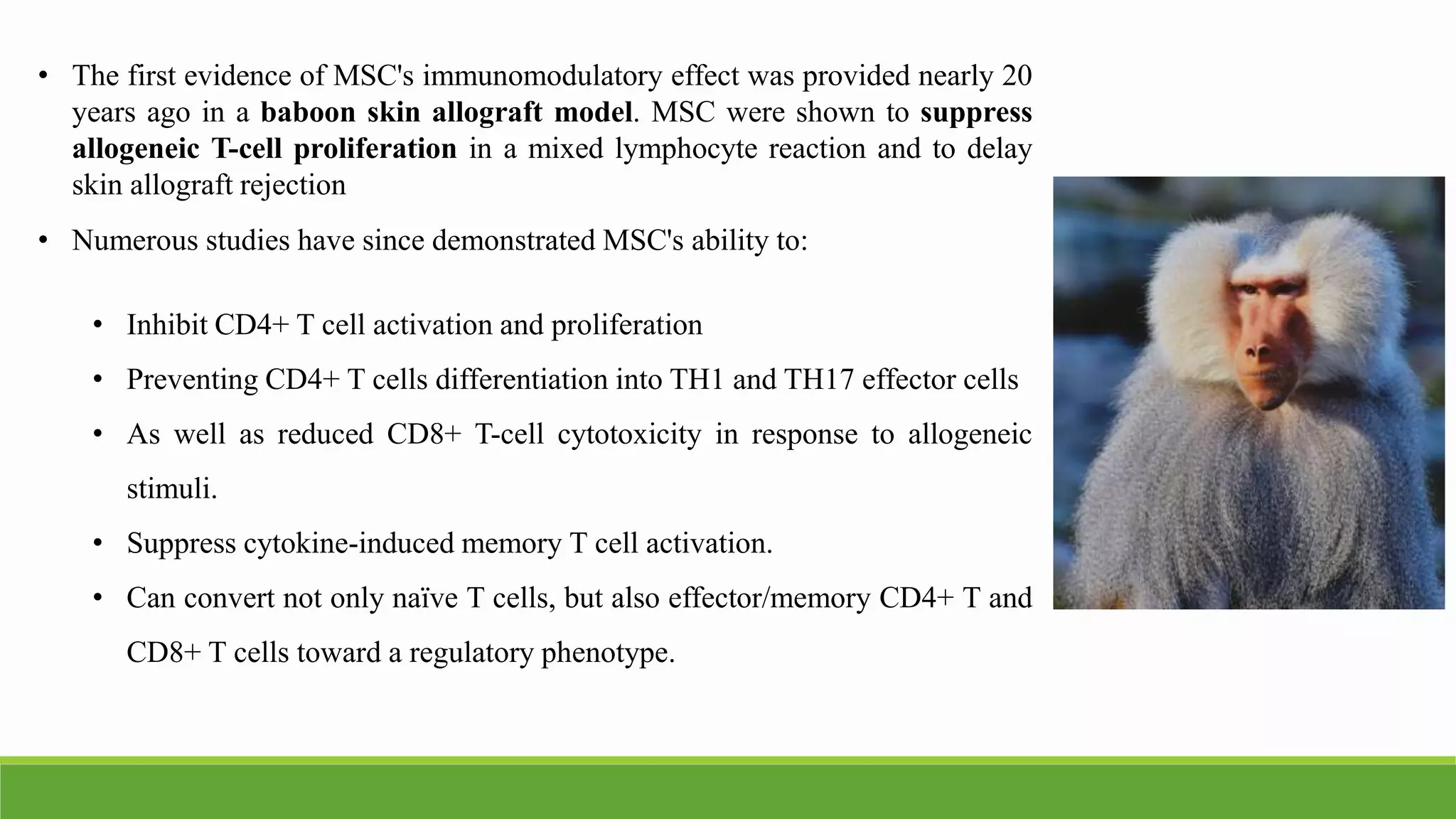 MSC cell therapy in Organ Transplantation | PPTX