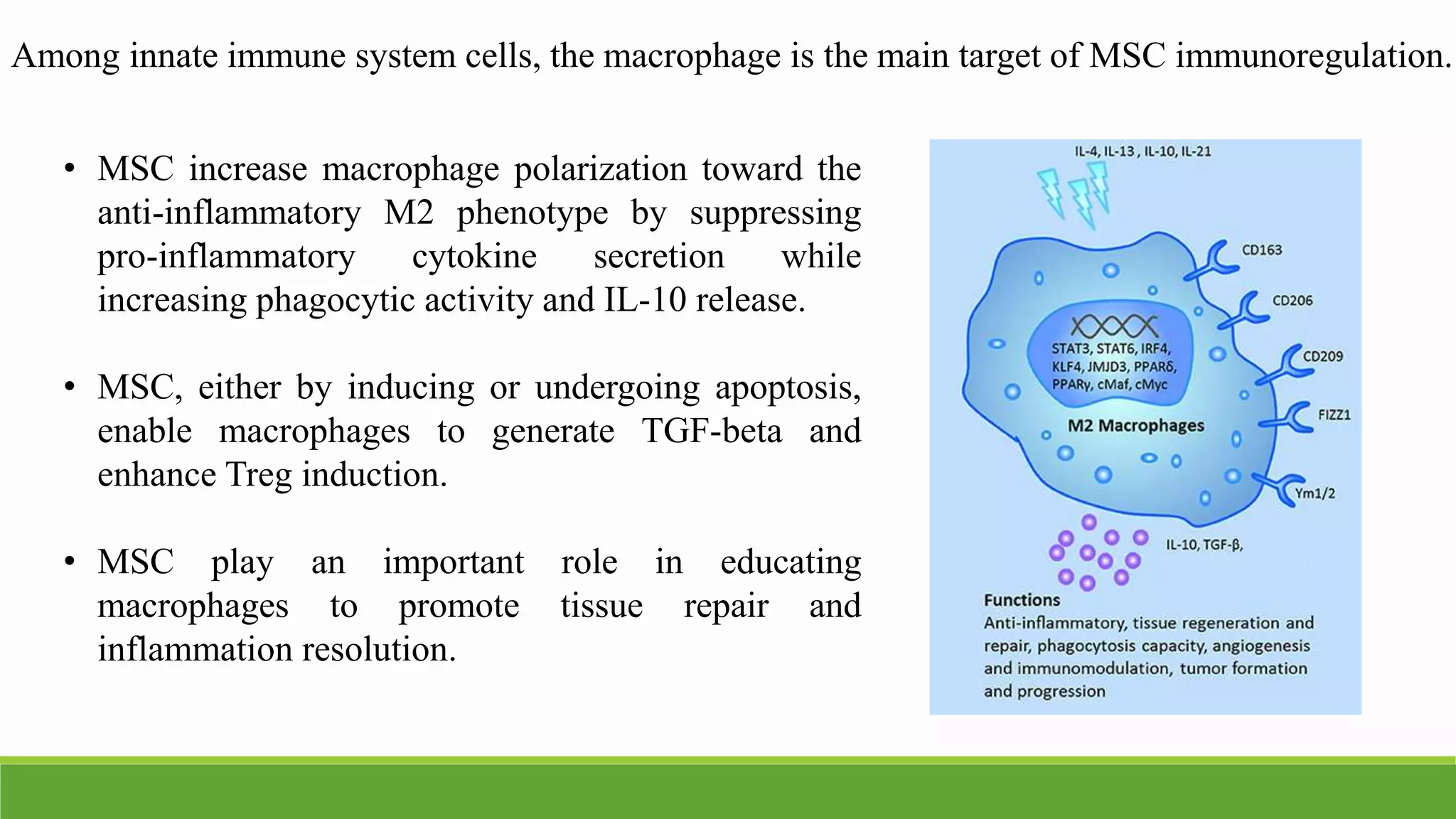 MSC cell therapy in Organ Transplantation | PPTX