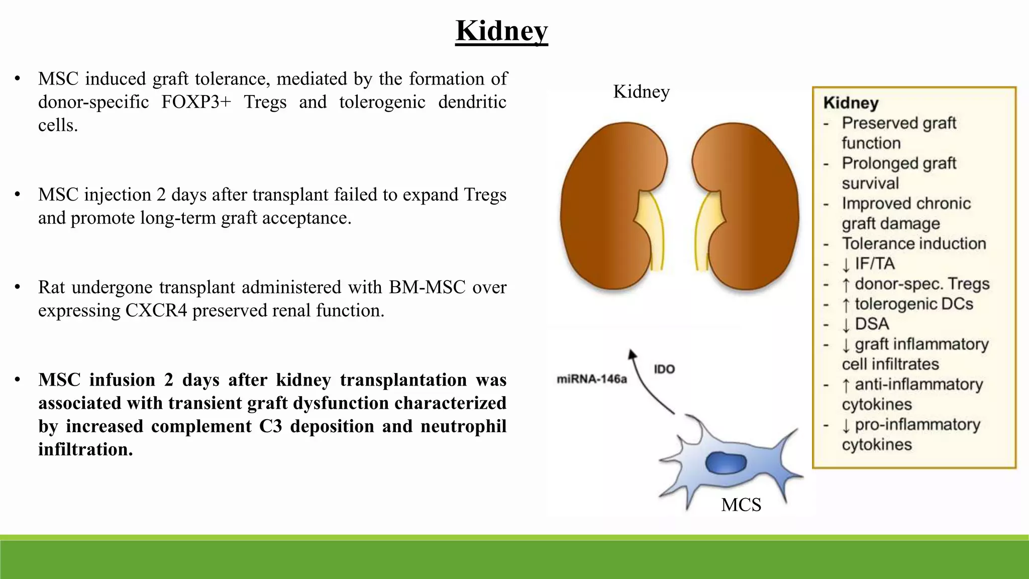 MSC cell therapy in Organ Transplantation | PPTX