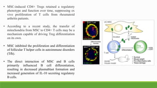 MSC cell therapy in Organ Transplantation | PPTX