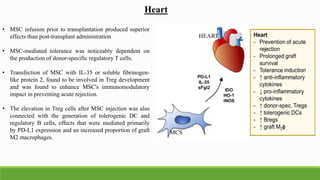 MSC cell therapy in Organ Transplantation | PPTX
