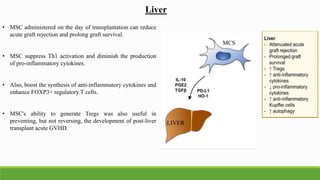 MSC cell therapy in Organ Transplantation | PPTX