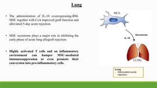 MSC cell therapy in Organ Transplantation | PPTX