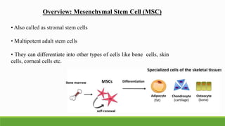 MSC cell therapy in Organ Transplantation | PPTX