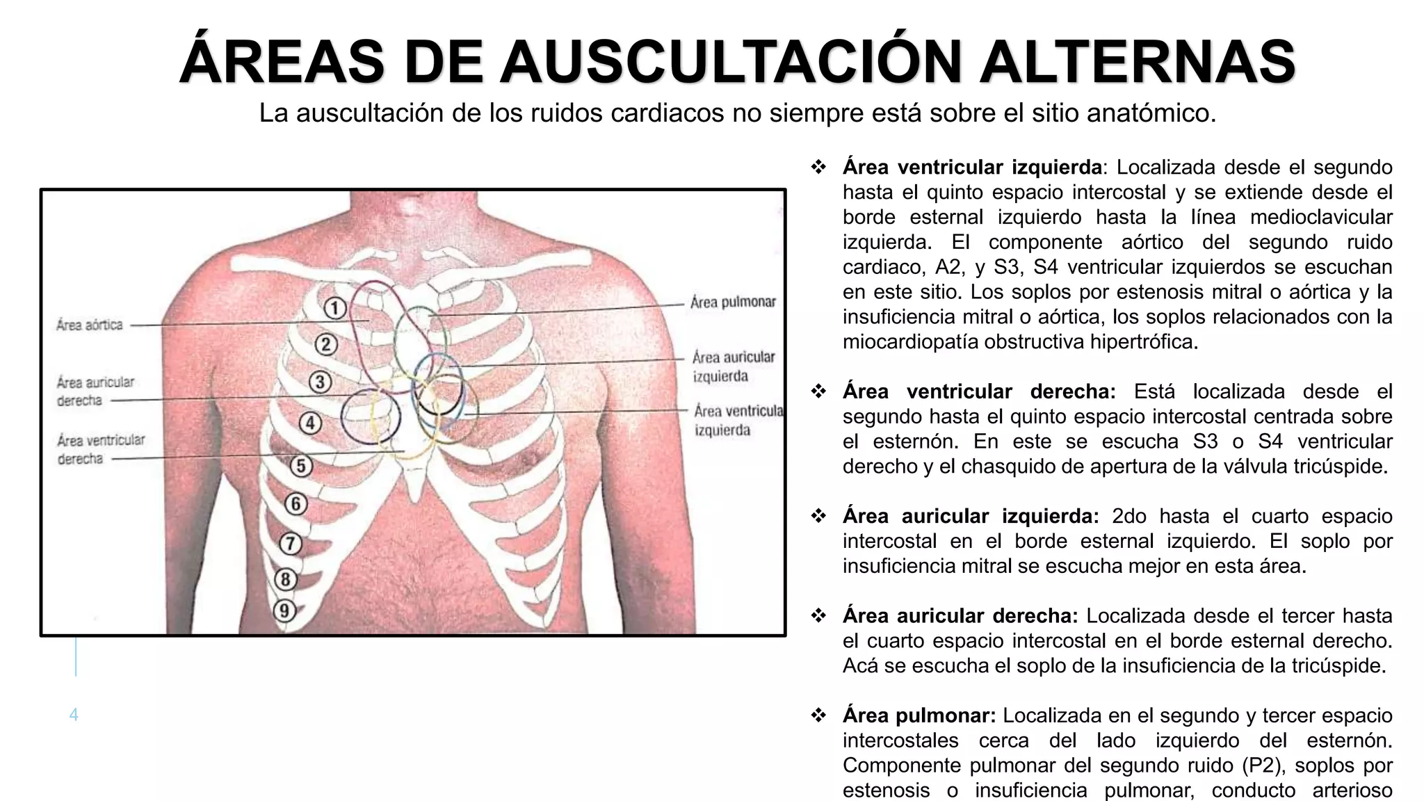 2.2- AUSCULTACIÓN CARDIACA.pptx