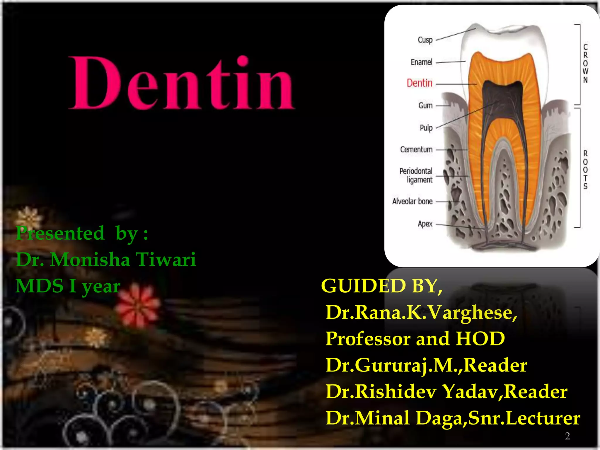 2. Dentin.pptx