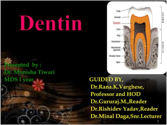 2. Dentin.pptx
