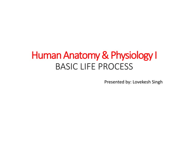 2. Basic Life Process.ppt