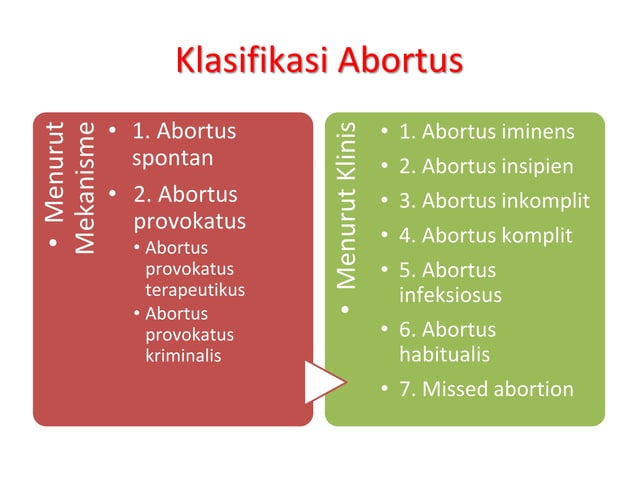 2. PATOFISIOLOGI FETOMATERNAL dr. Taufik.pptx
