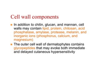 2. Cell Wall Composition of fungi.pdf