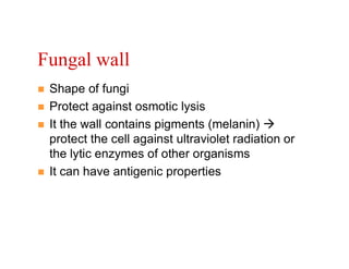 2. Cell Wall Composition of fungi.pdf