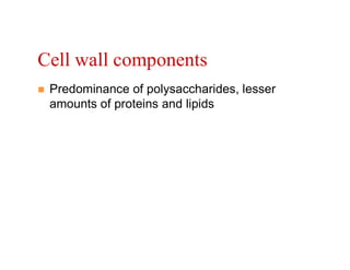 2. Cell Wall Composition of fungi.pdf
