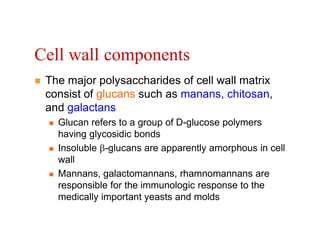 2. Cell Wall Composition of fungi.pdf