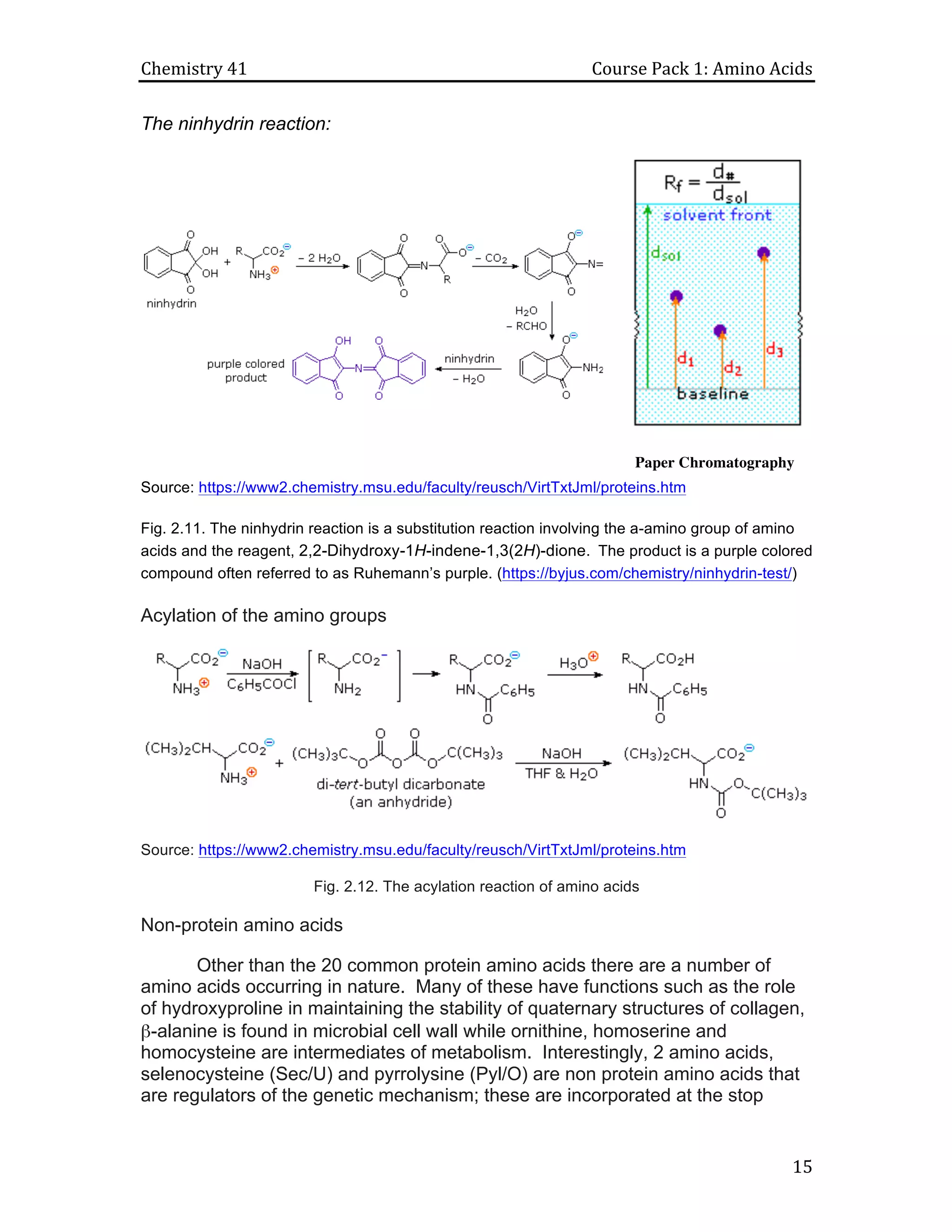 2.1 The Amino Acids Reading Module.pdf | Chemistry | Science