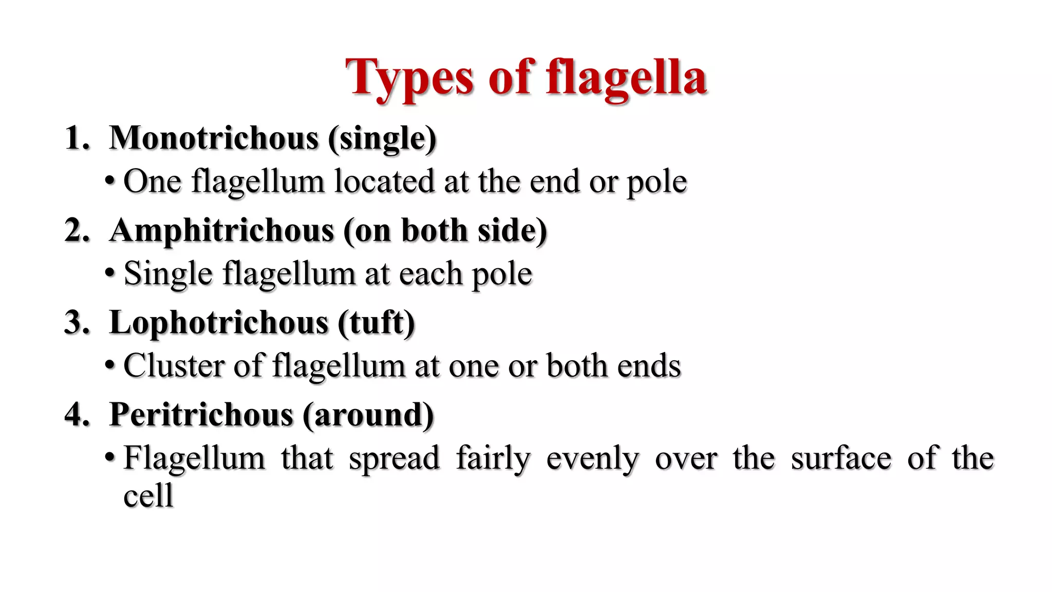 2. General characteristics of microbes (Microbiology) | PPTX