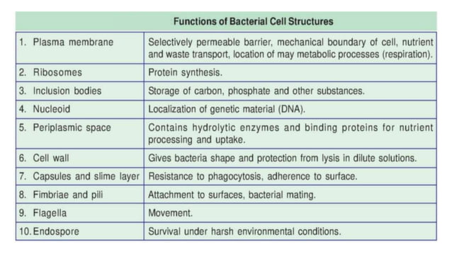 2. General characteristics of microbes (Microbiology) | PPTX