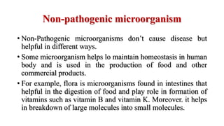 2. General characteristics of microbes (Microbiology) | PPTX