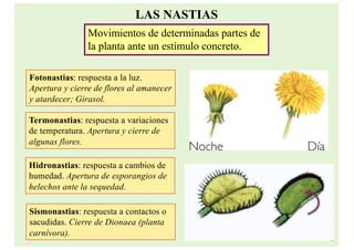 2.1_Las-funciones-vitales-en-las-plantas-Modo-de-compatibilidad.pdf
