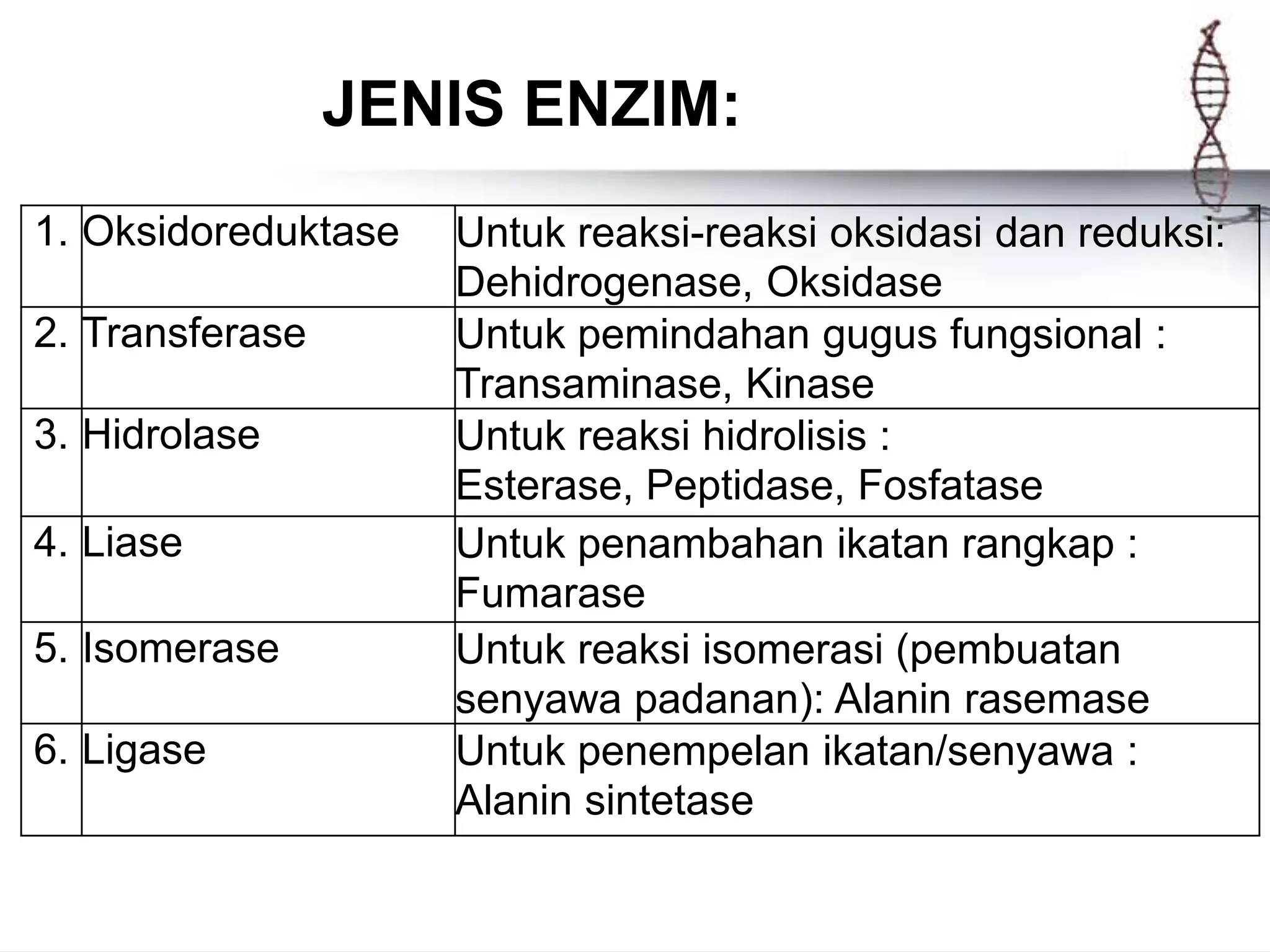 2. ENZIM_DAN_KOENZIM_pptx.pptx