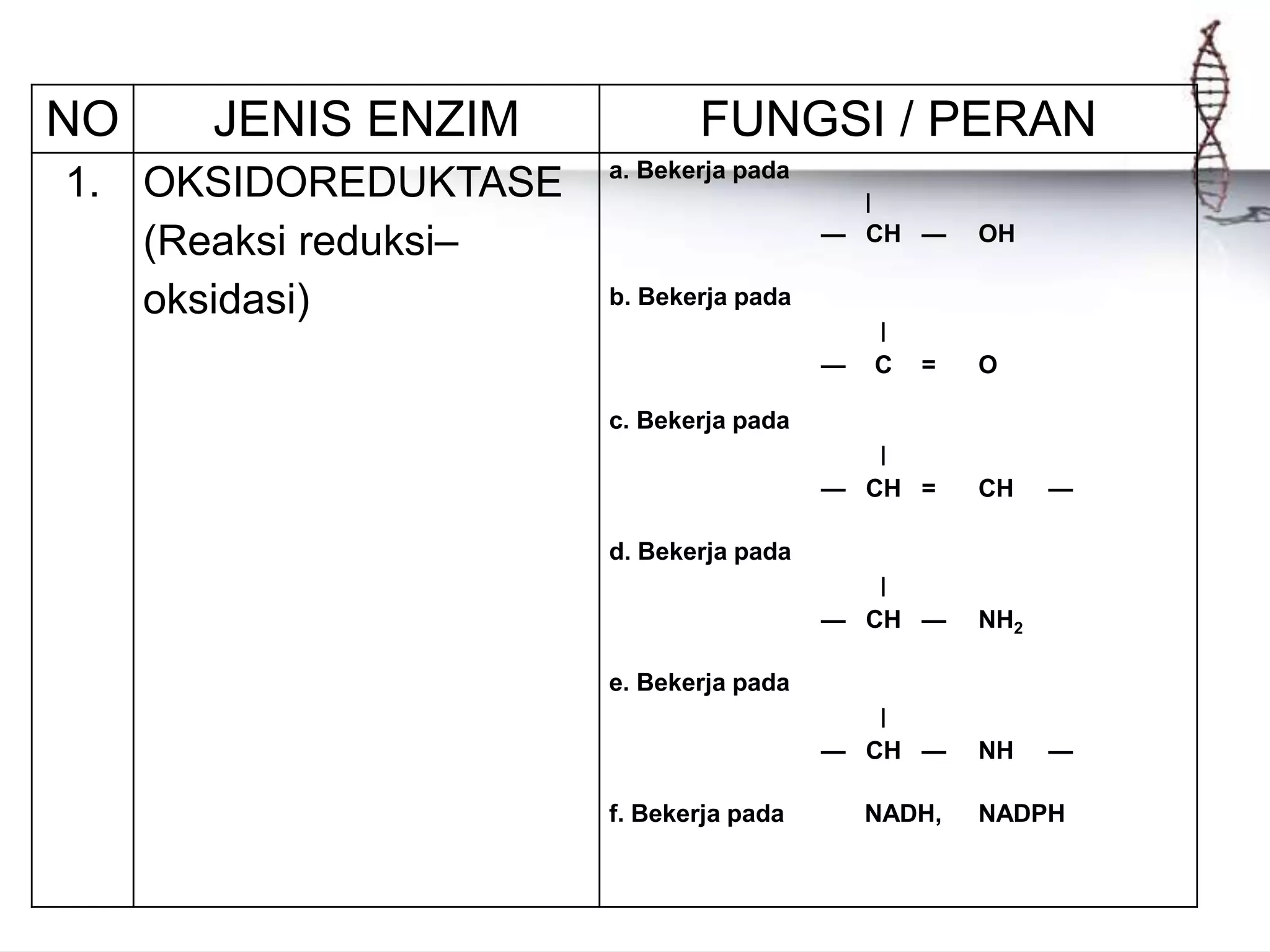 2. ENZIM_DAN_KOENZIM_pptx.pptx