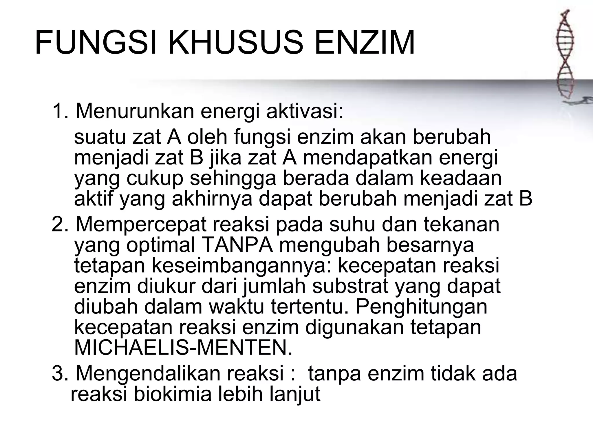 2. ENZIM_DAN_KOENZIM_pptx.pptx