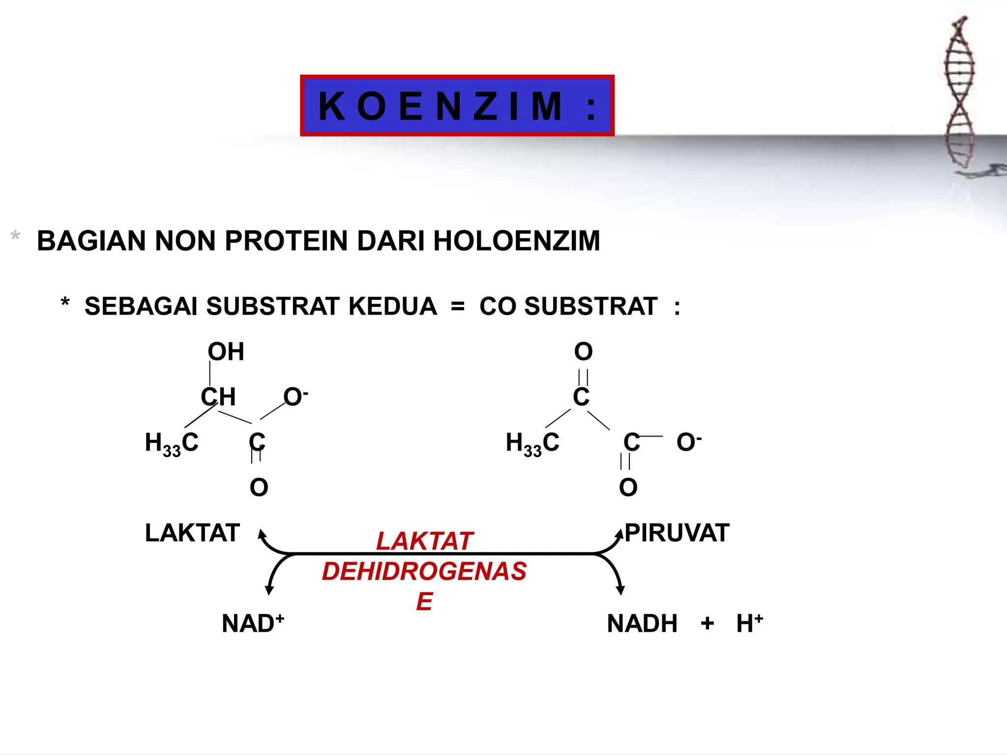 2. ENZIM_DAN_KOENZIM_pptx.pptx