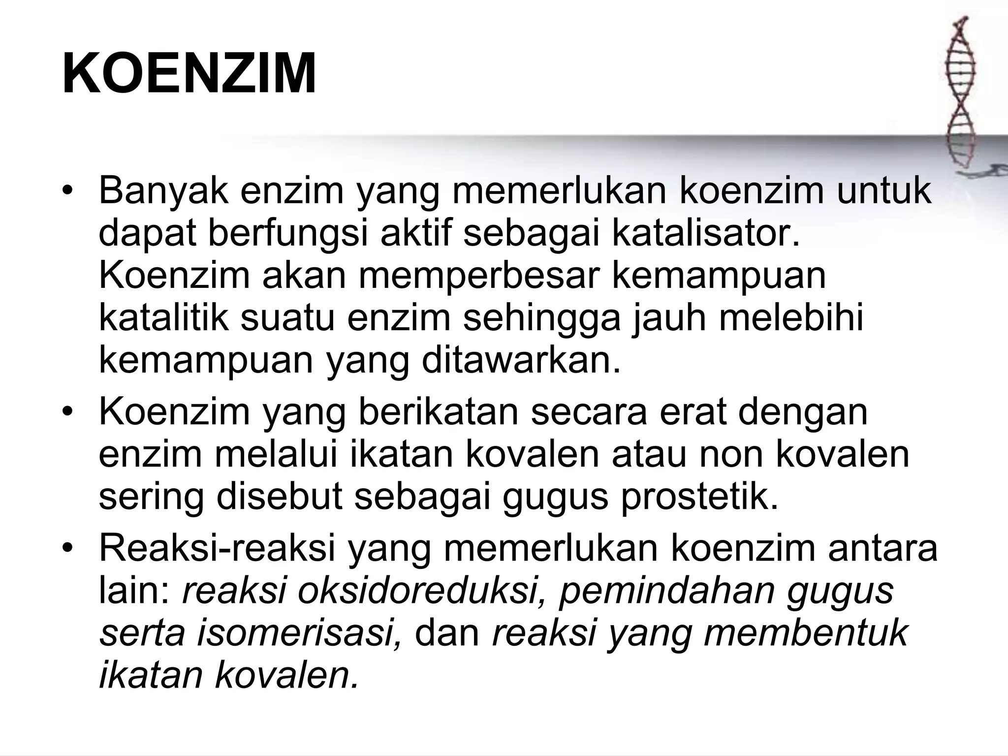 2. ENZIM_DAN_KOENZIM_pptx.pptx