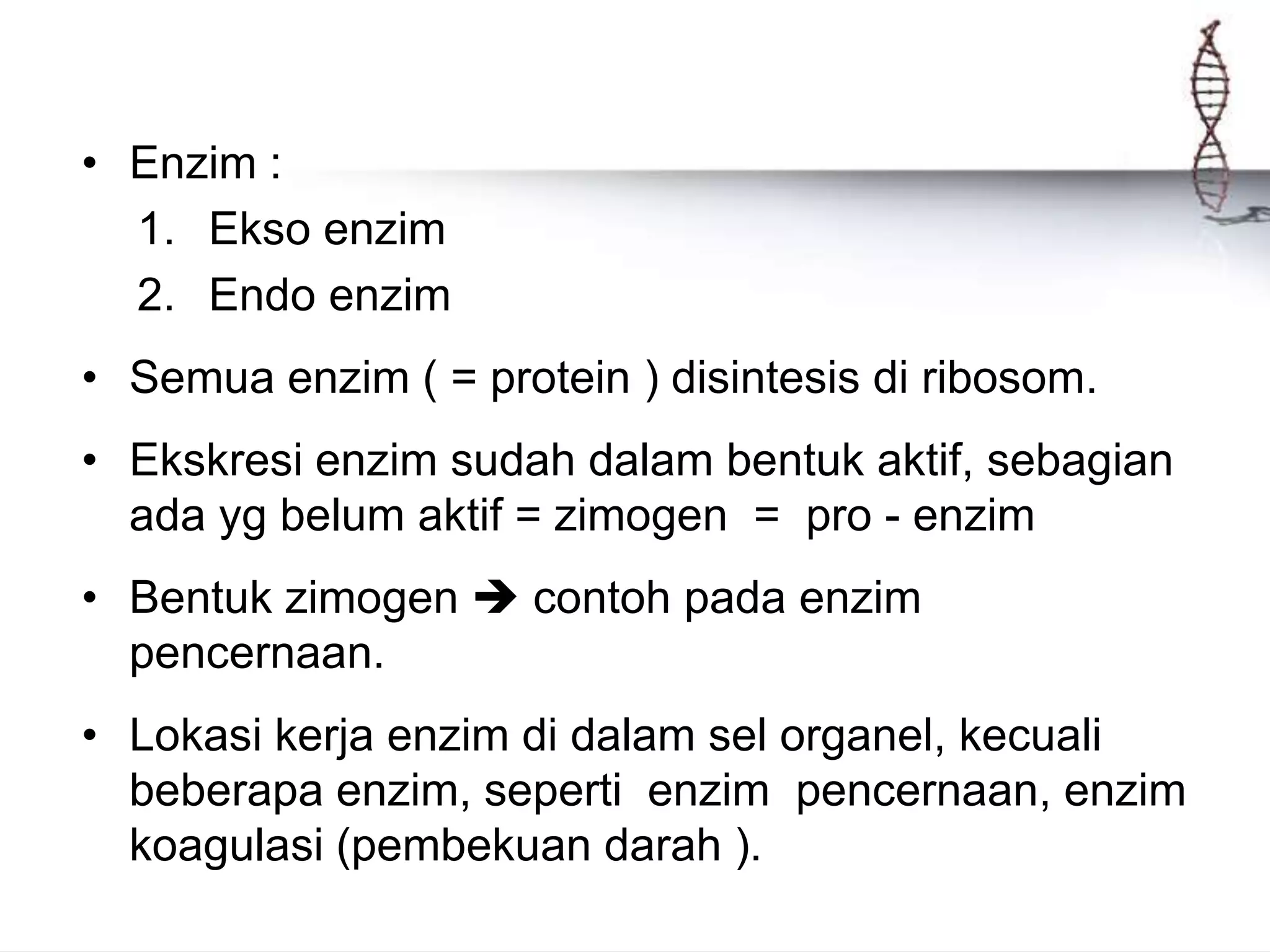 2. ENZIM_DAN_KOENZIM_pptx.pptx