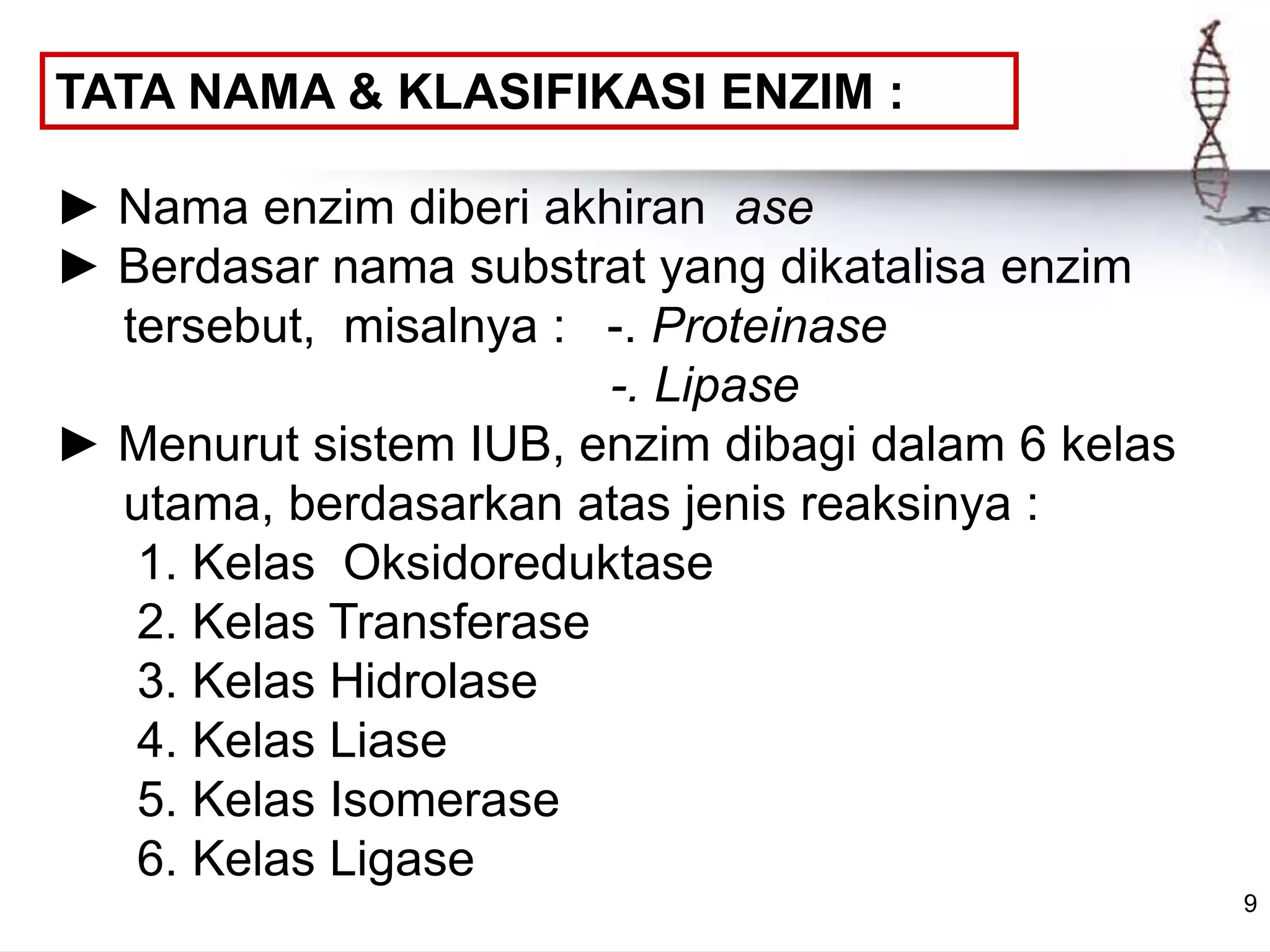 2. ENZIM_DAN_KOENZIM_pptx.pptx