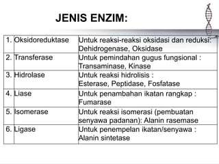 2. ENZIM_DAN_KOENZIM_pptx.pptx