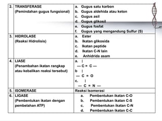 2. ENZIM_DAN_KOENZIM_pptx.pptx