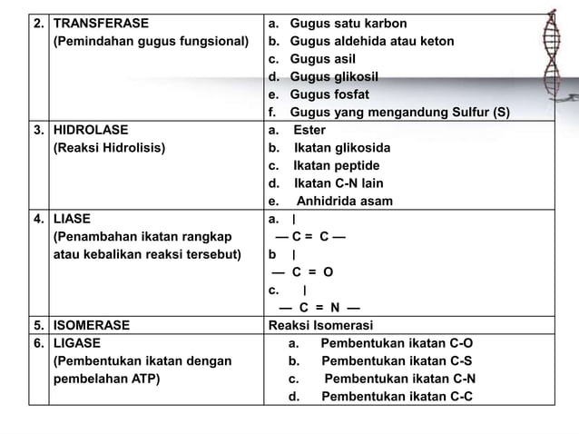 2. ENZIM_DAN_KOENZIM_pptx.pptx