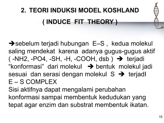 2. ENZIM_DAN_KOENZIM_pptx.pptx